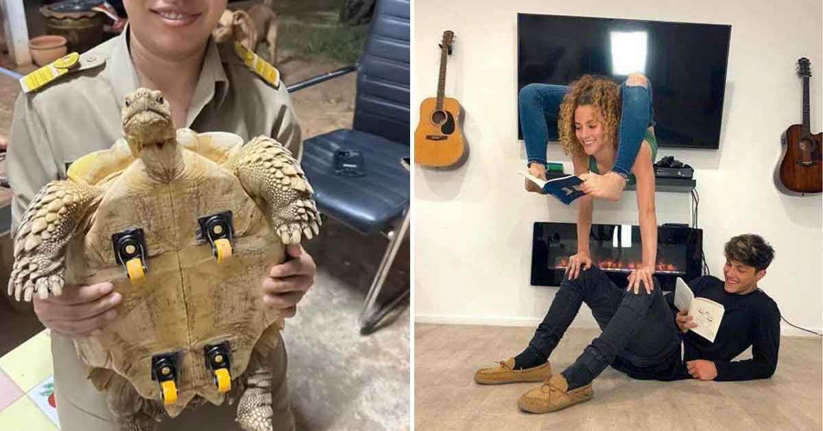 19 purely out-of-context pics to vibe with