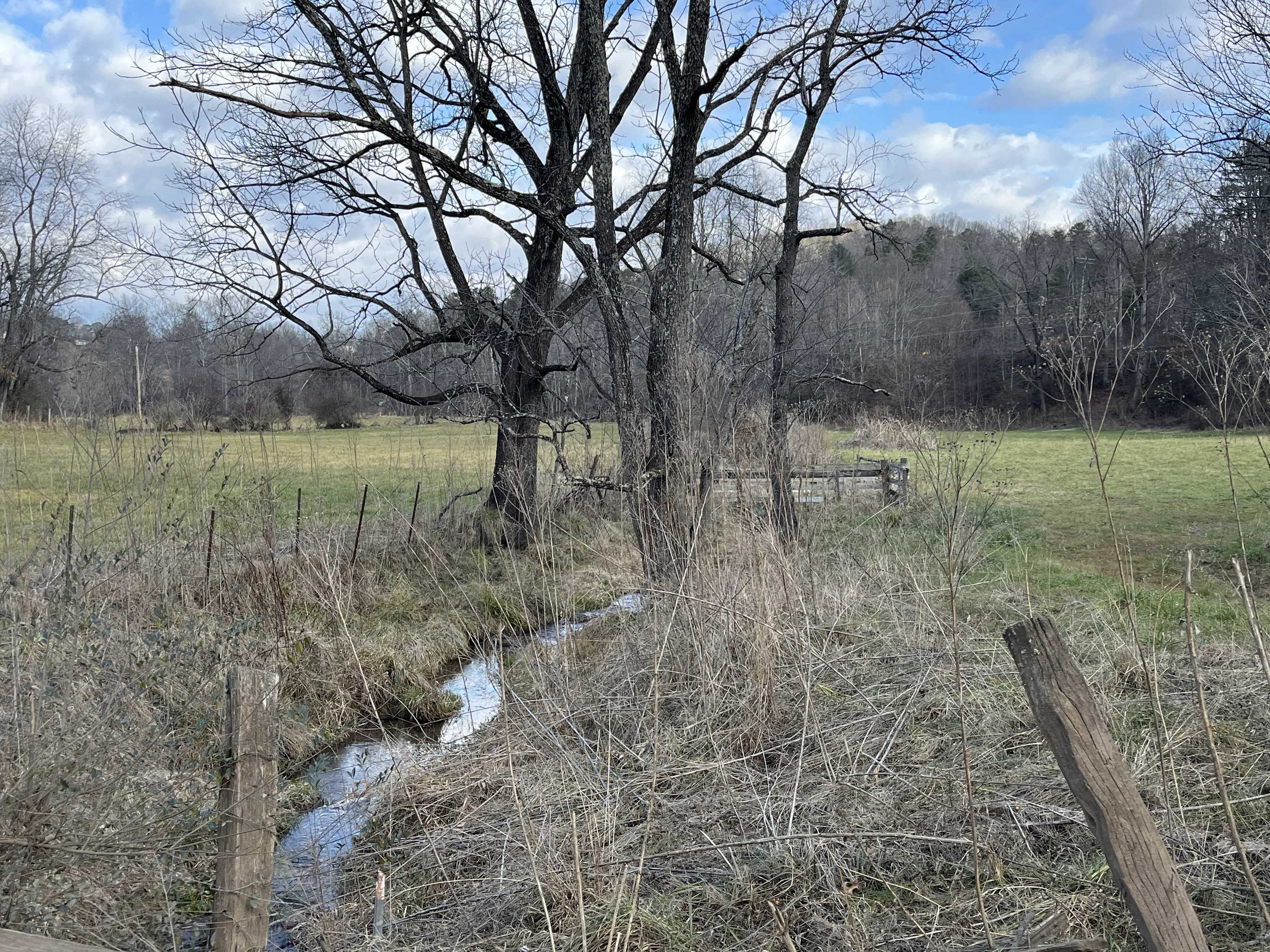 Suspect arrested after missing 18-year-old found fatally shot in the head