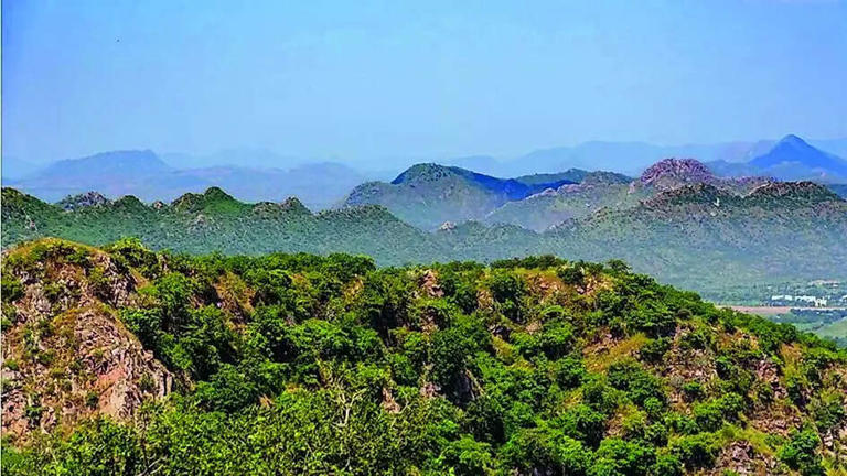 Aravalli Hills alive with cautious optimism