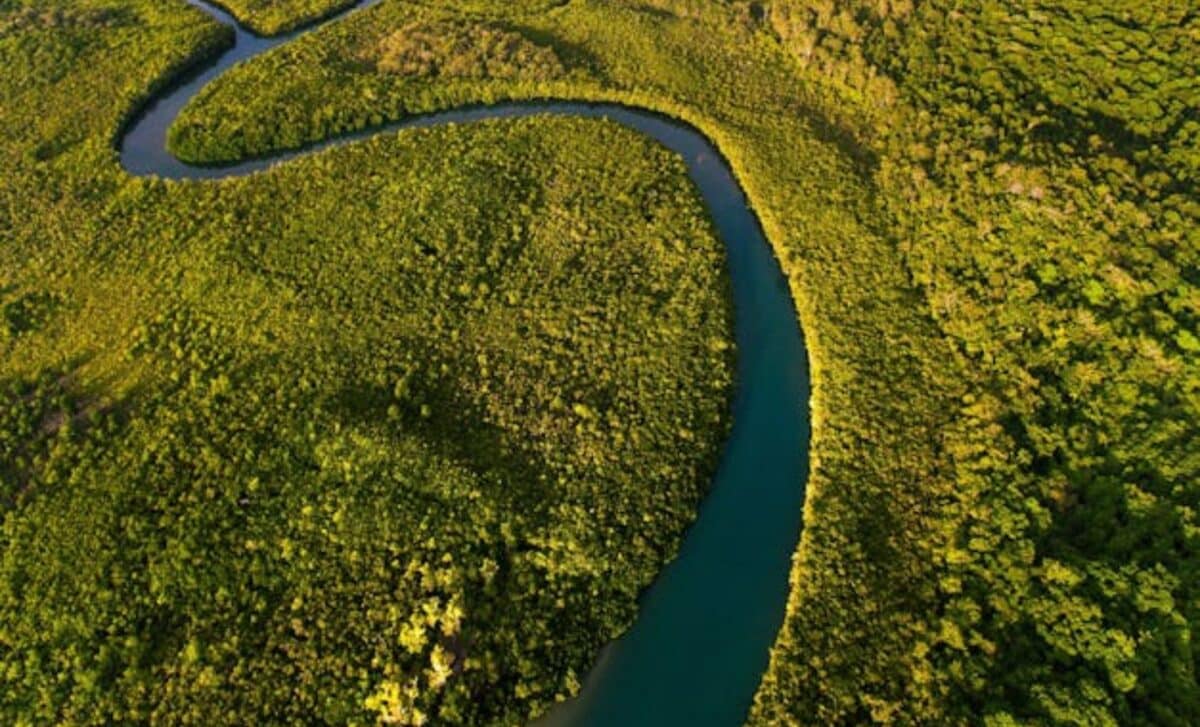 NASA’s satellite images captured a brown desert turned into a new oasis