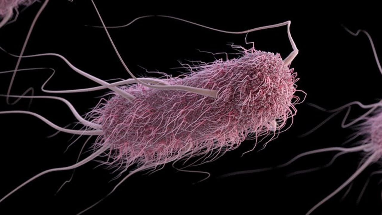 4 hospitalized after E coli outbreak linked to Bellevue, WA restaurant