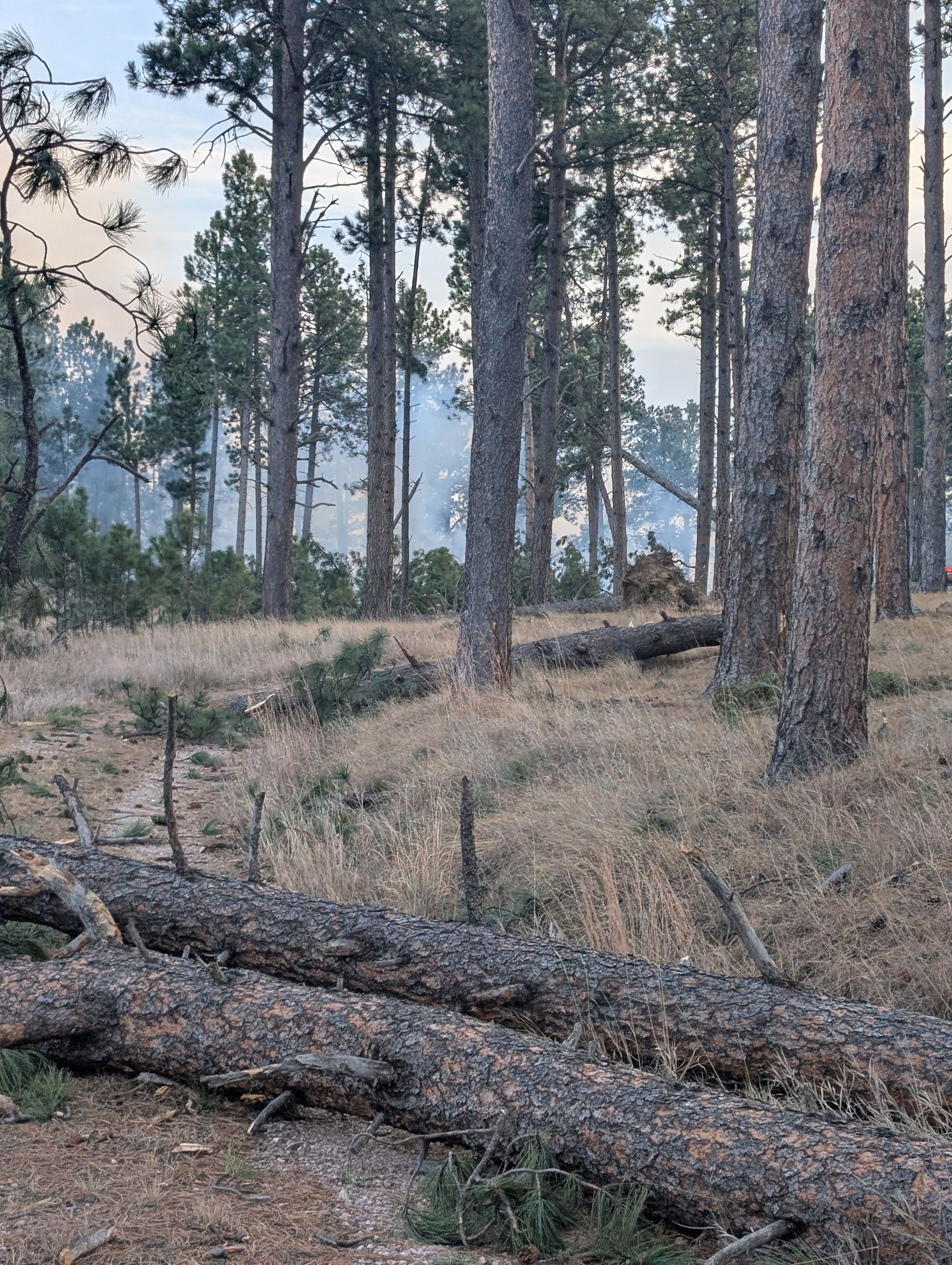 Another wildfire ignites near Keystone