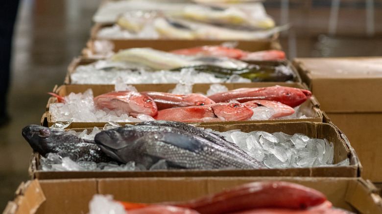 Watch out for these 7 red flags when buying fish and seafood