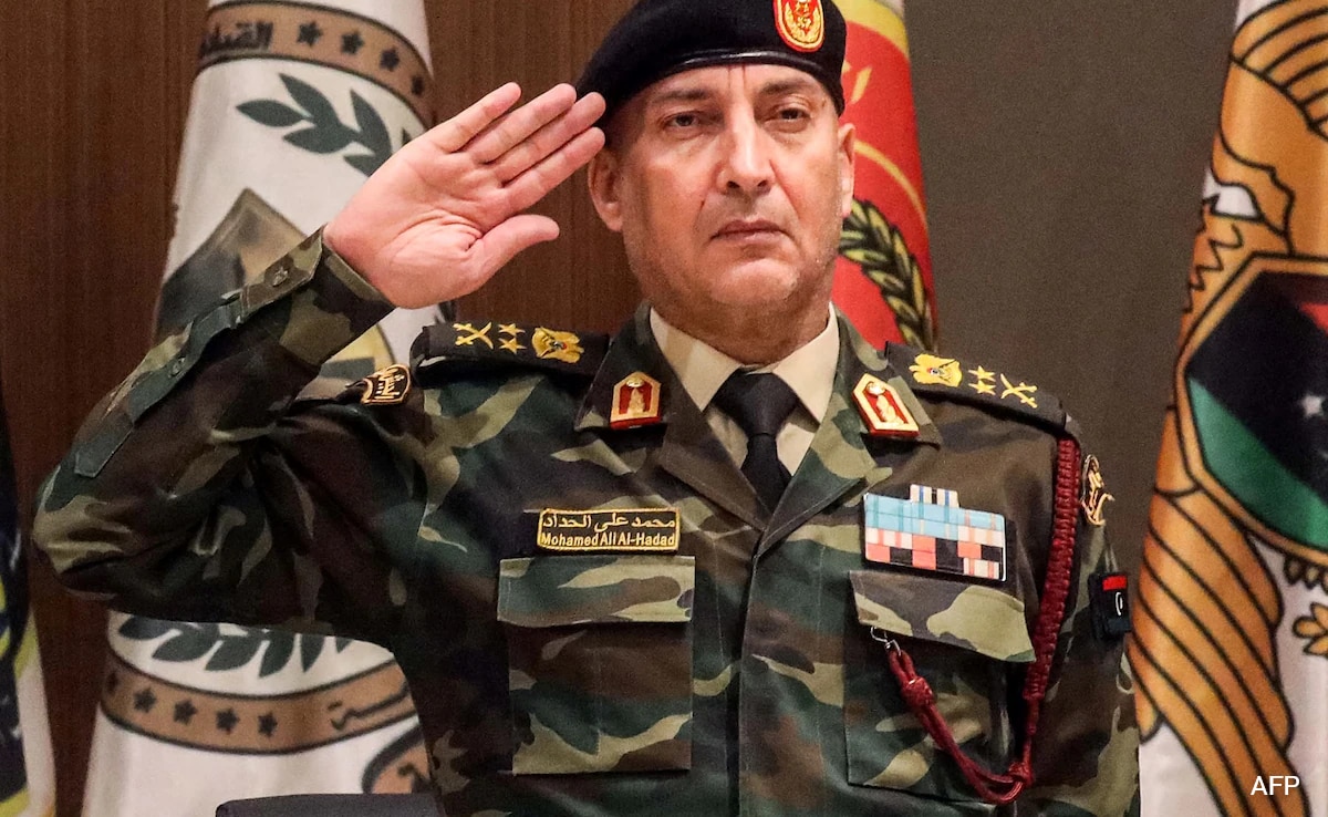 Libya's army chief killed in plane crash in Turkey