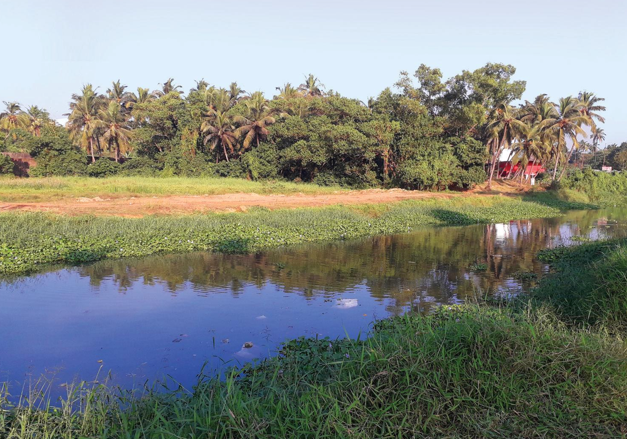 Human activity altering floristic diversity along Sal, Zuari: Study