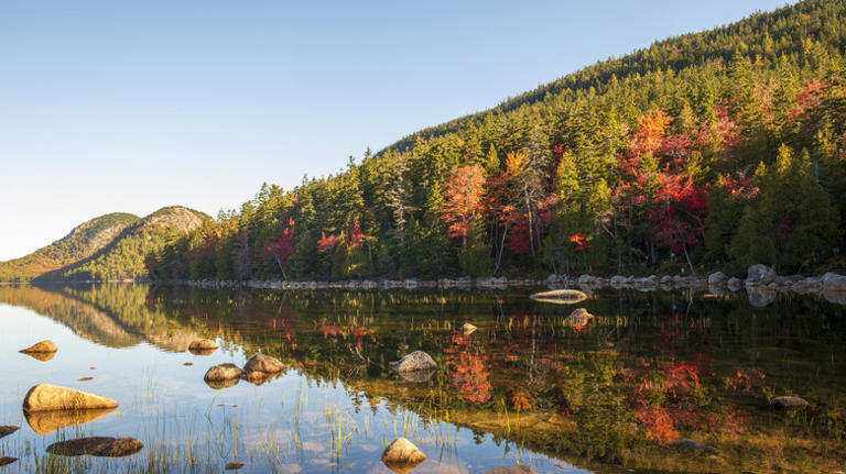 America's most forested state relative to its size is a charming East ...