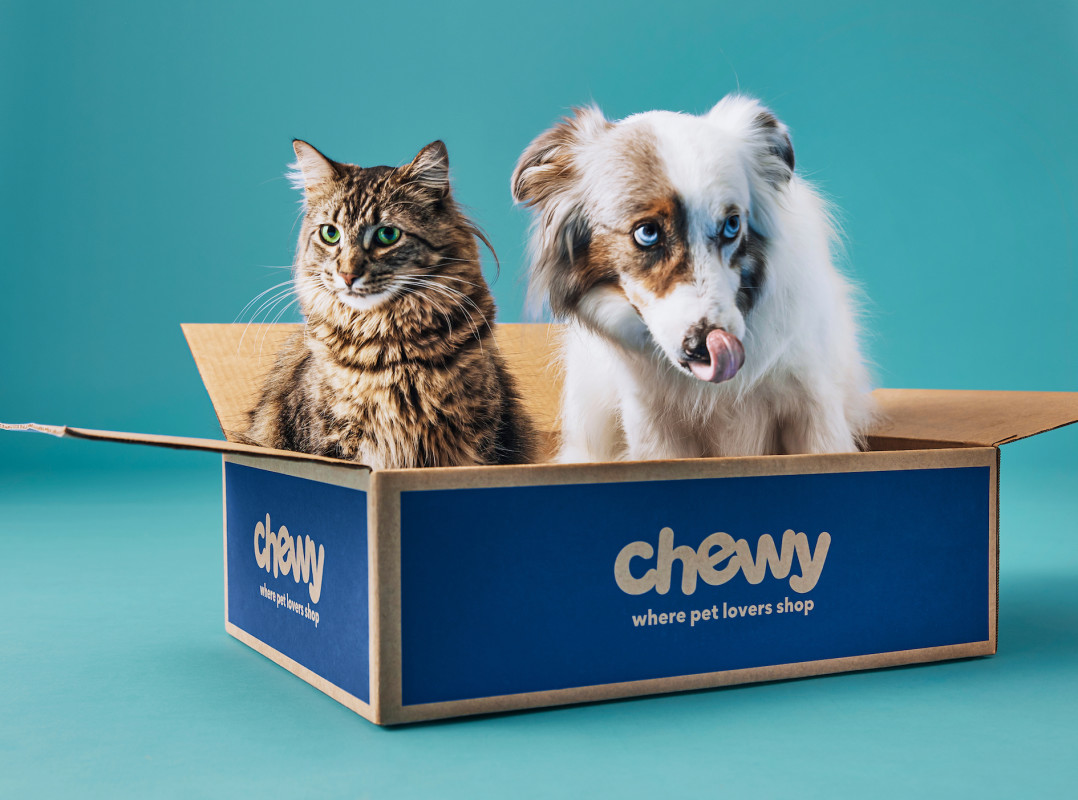 These cute elevated cat bowls are only $10 at Chewy