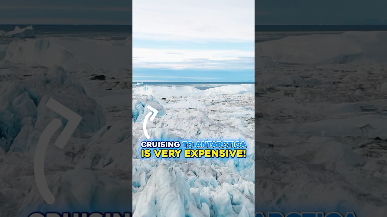 What's the real cost of cruising to Antarctica? #shorts