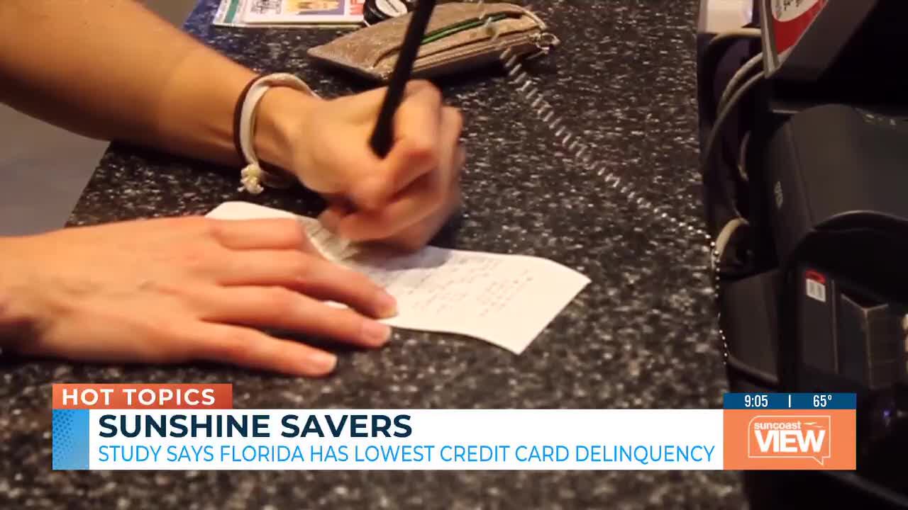 Florida credit card debt