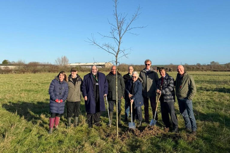Tree planting marks the first year of 'Rewilding Harborough' project