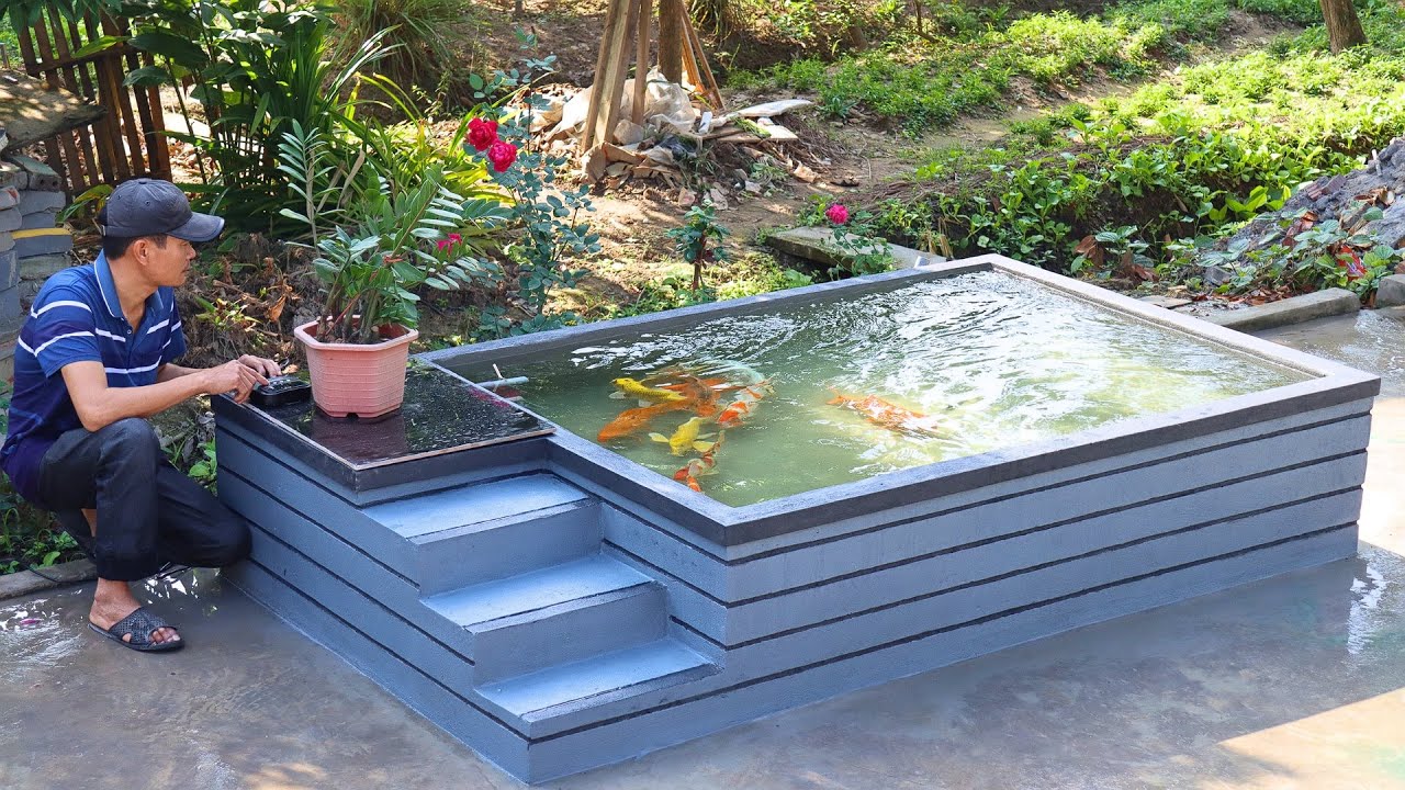 I built a self-sustaining outdoor aquarium (step-by-step pond build)