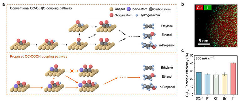 Converting CO₂ into valuable chemicals in acidic environments: Iodide ...