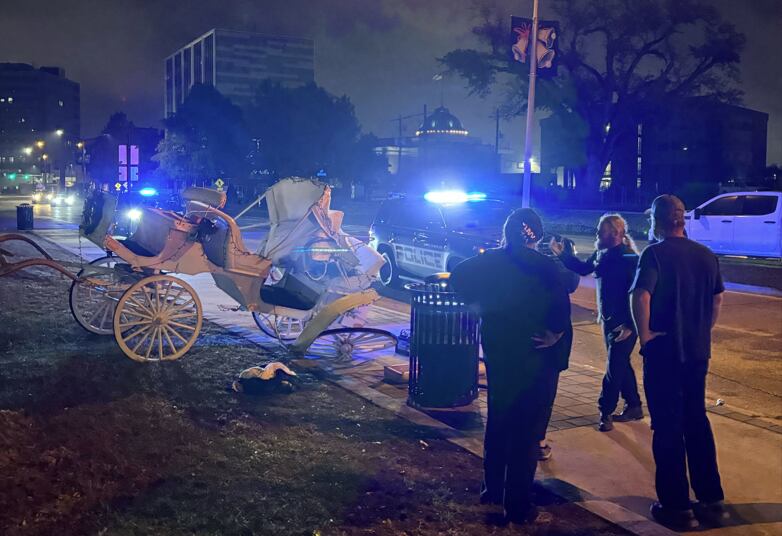 Police address handling of recent hit-and-runs in Lake Charles