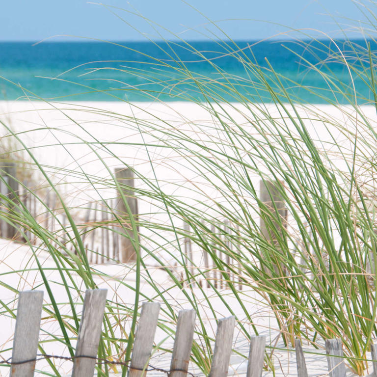 This secret Florida paradise is a must-visit winter sun getaway