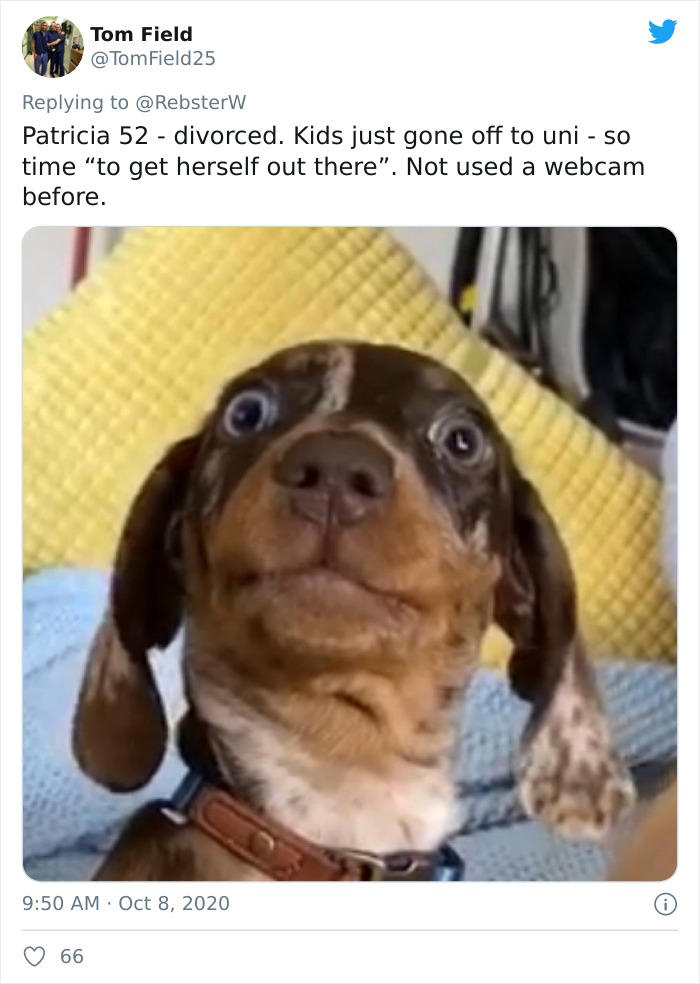 Woman on Twitter asks what people’s dogs’ dating profile pics would be ...