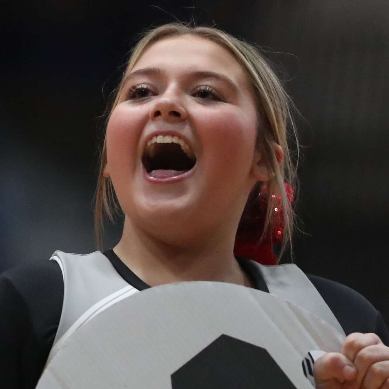 Illinois boys' and girls' high school basketball scores for Monday ...