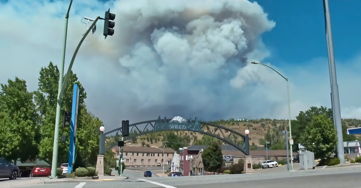 'Do not return'—Mount Shasta orders evacuations as deadly blaze torches ...