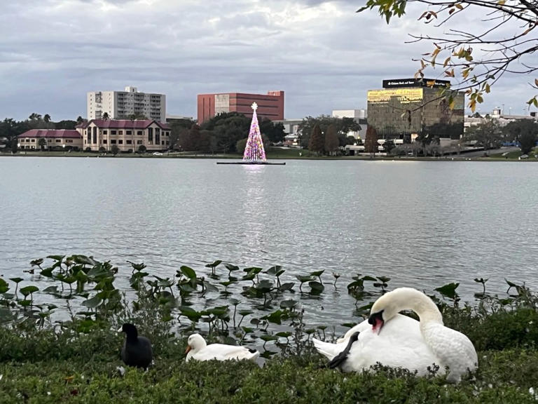 Lkld lore: Lake Morton's floating Christmas tree