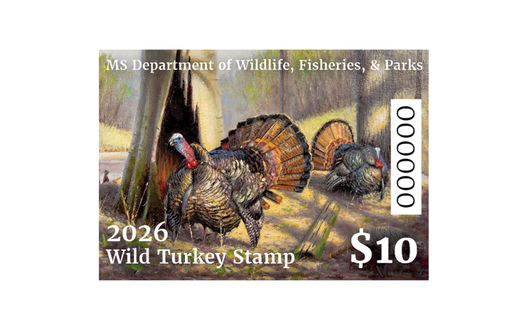 New special stamp to serve as permit for wild turkey season
