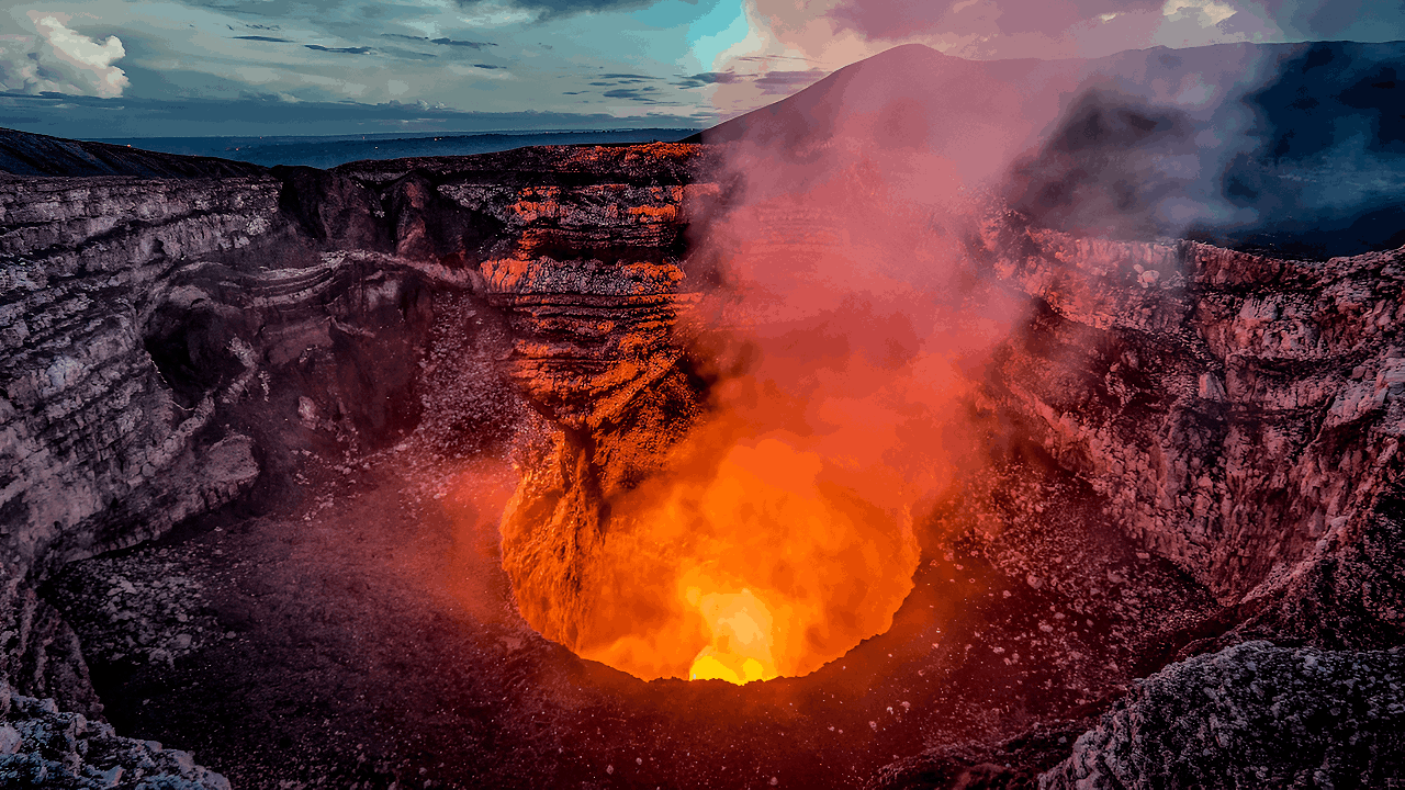 13 warning signs Earth’s next mass extinction is already here