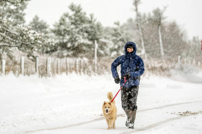 Met Office's Christmas Eve forecast as Scotland set for grim weather