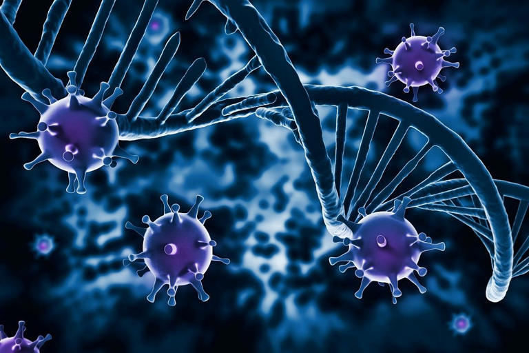 HIV viral load test with next-day results does not impact linkage to care