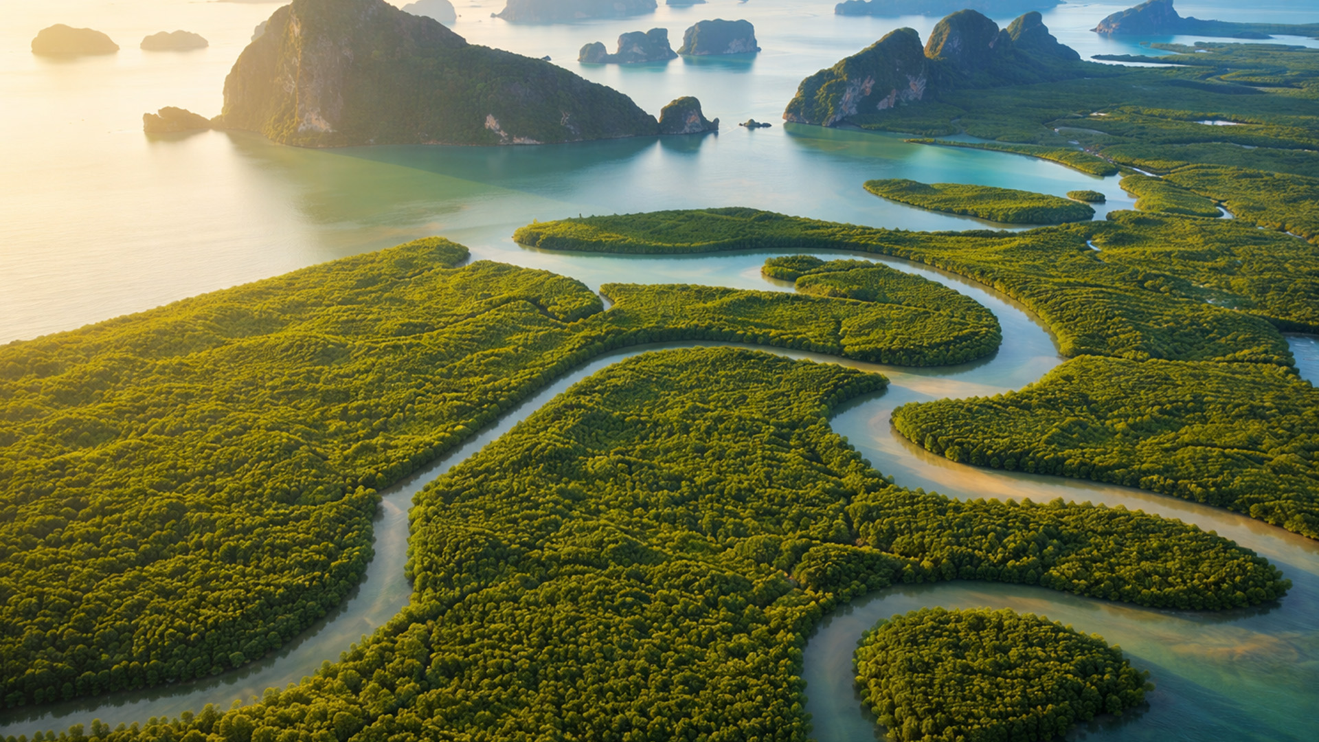 Can you find the path through this maze?