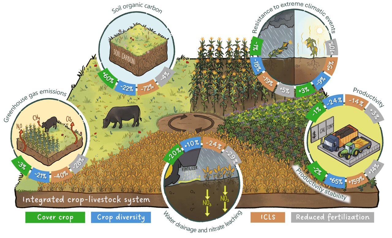 Diversifying US Midwest farming for stability and resilience