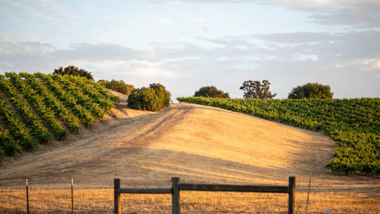 9 budget-friendly wine regions that rival the expensive ones