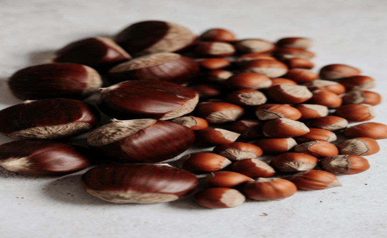 Chestnuts vs. hazelnuts: Which nut is healthier for your heart, skin ...