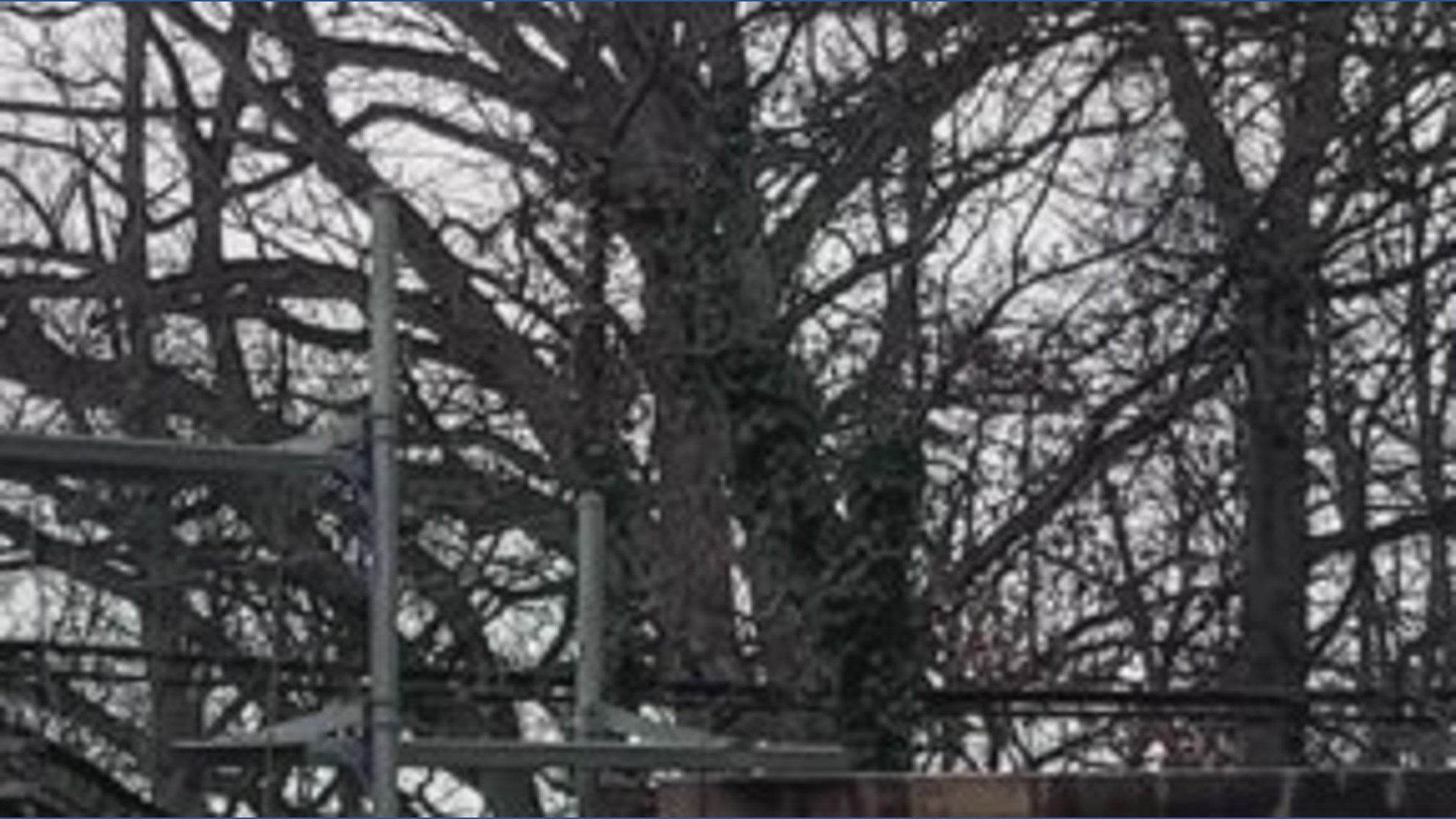 Gaining daylight after the winter solstice