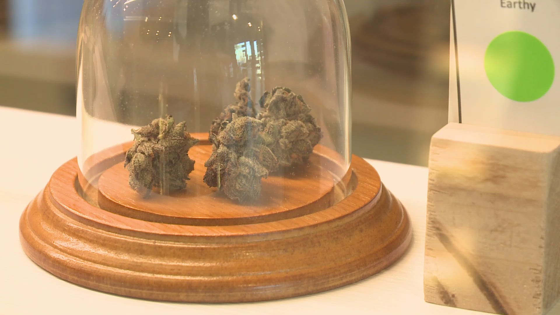 Maine cannabis businesses react to marijuana reclassification order