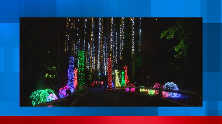 Callaway’s ‘Fantasy in Lights’ offers visitors seven miles of Christmas ...