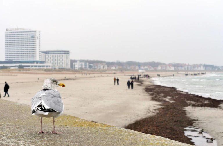 „So hält man sich Gäste vom Leib“! MV beklagt: Noch viele freie Betten ...