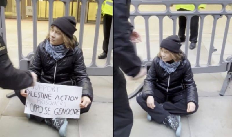 Why Greta Thunberg was arrested in London during a Pro-Palestine protest?