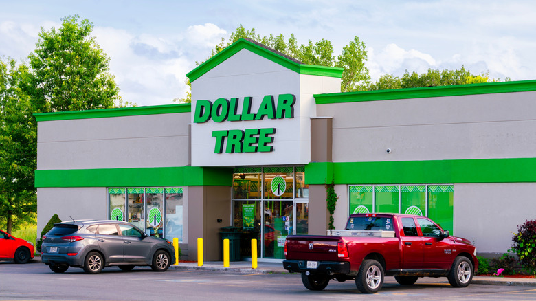 'Nine dollars is insane' — Dollar Tree shoppers weren't ready for the ...