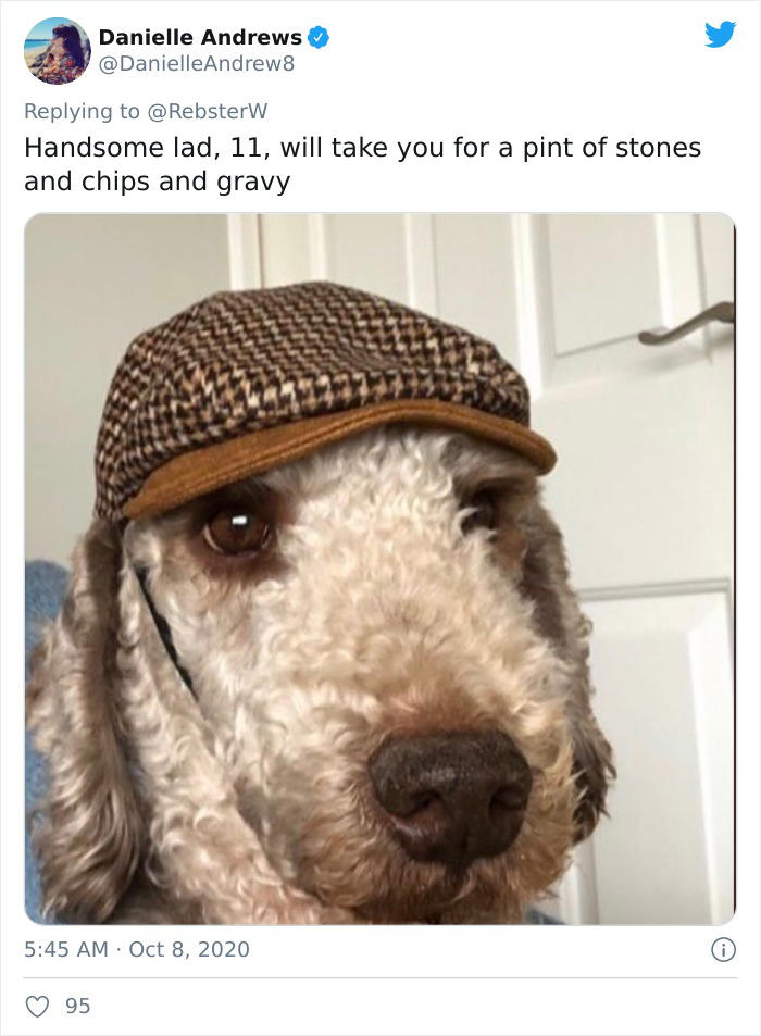 Woman on Twitter asks what people’s dogs’ dating profile pics would be ...