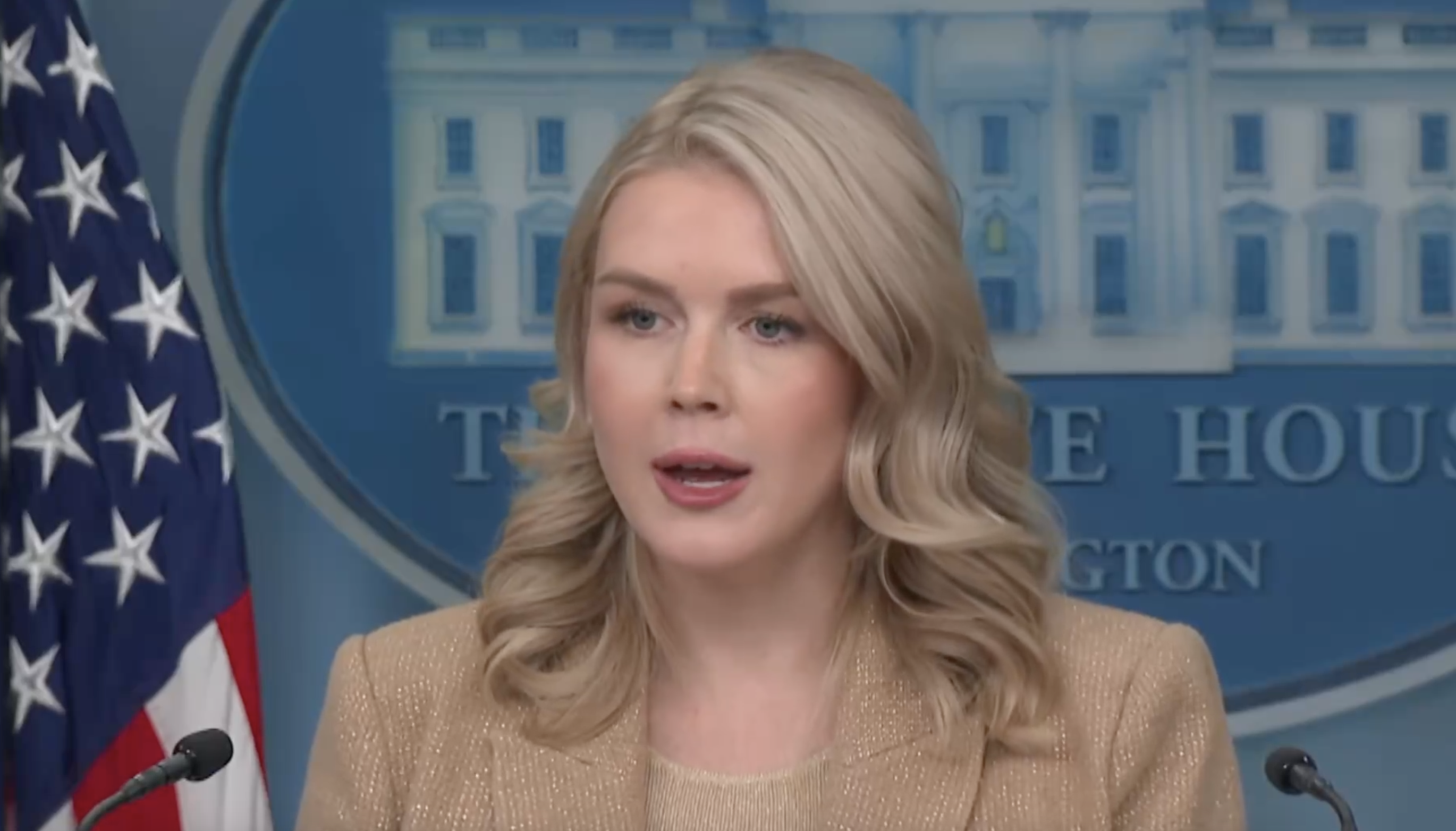 'He Defrauded $1.6 Billion!': Karoline Leavitt Struggles To Explain Why ...