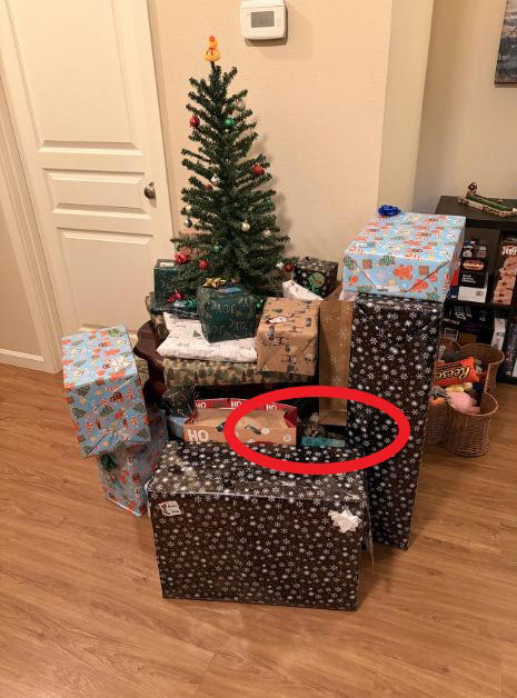 Do you have the sharp eyes to find the hidden cat in this Christmas ...