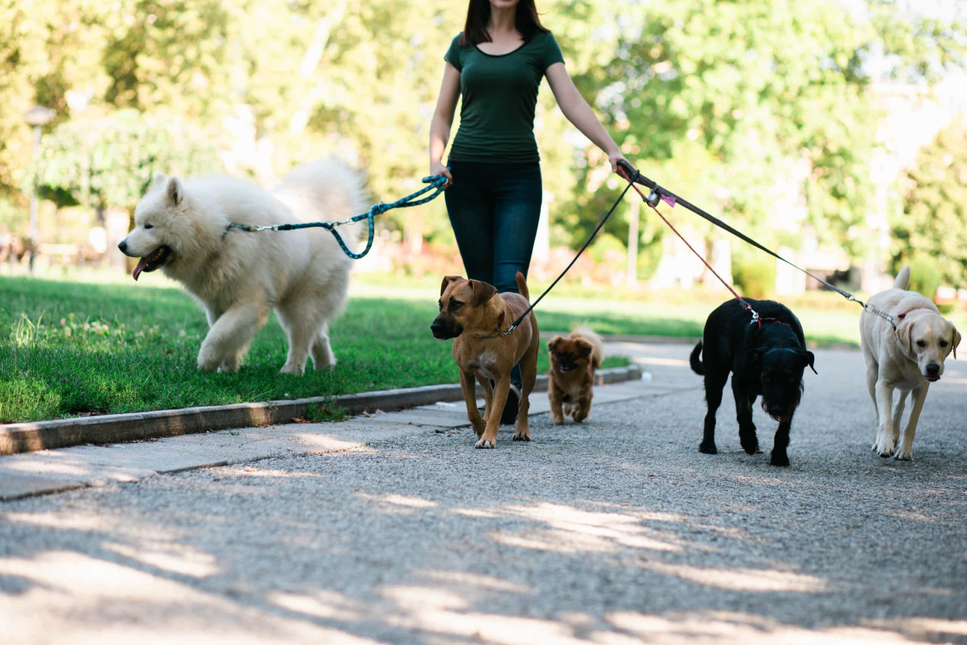 Top dog owner mistakes you might be making