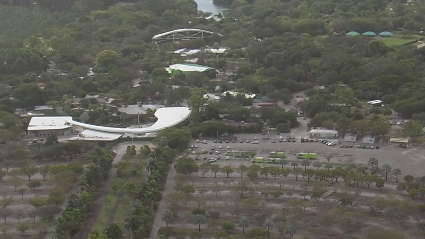 Bomb threat forces evacuation at Zoo Miami