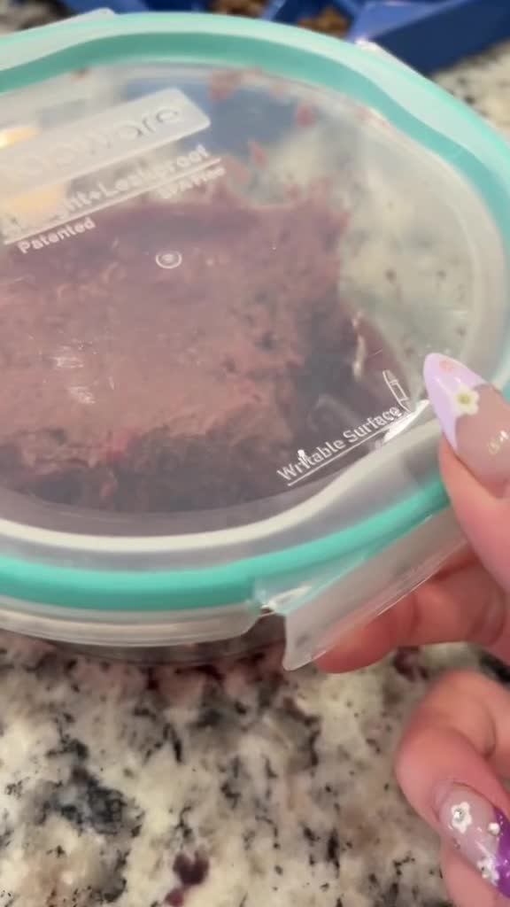 I tried feeding my dogs insect-powered breakfast!