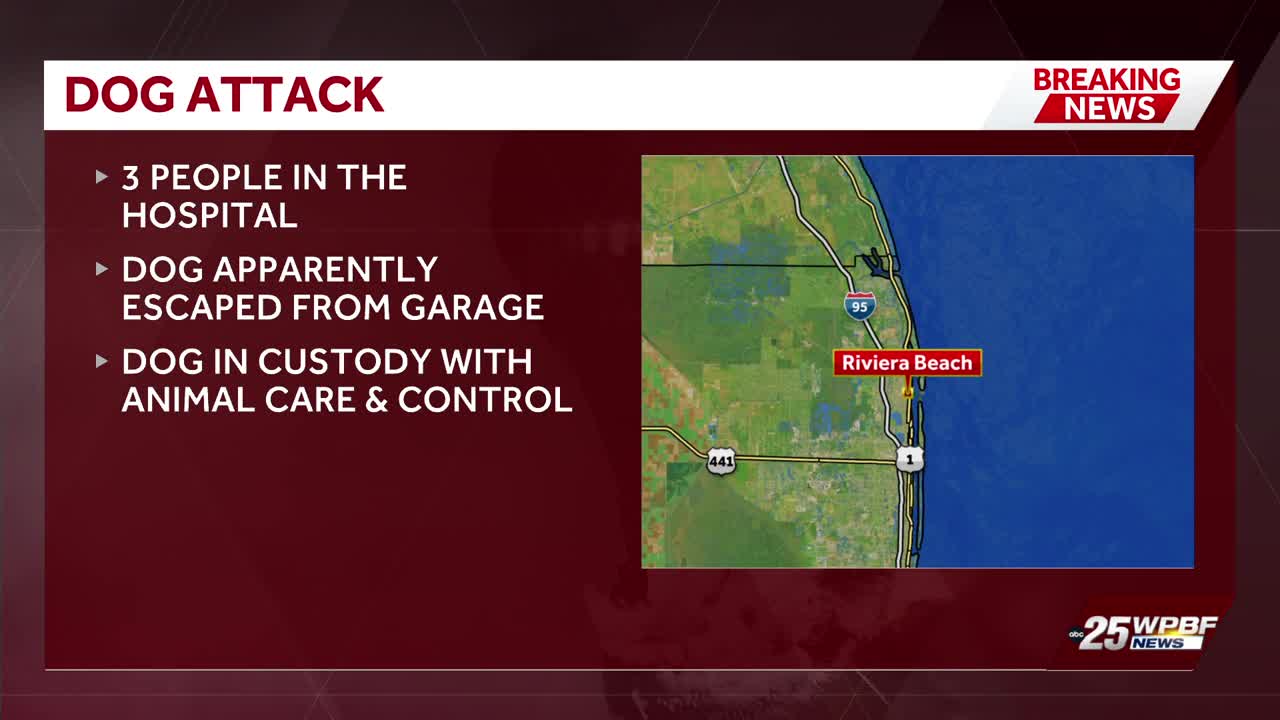 3 people hospitalized after dog attack in Riviera Beach