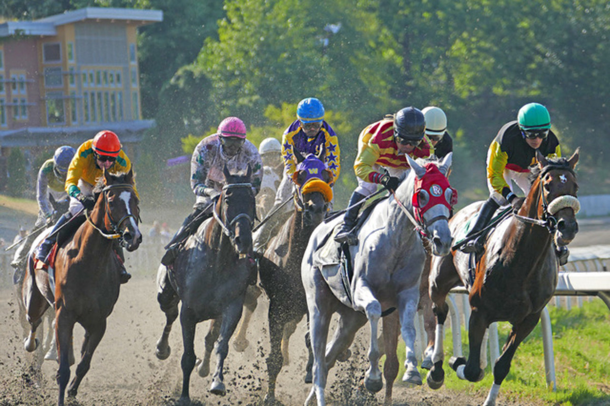 'We want to run the track': Horsemen fighting to keep racing at Hastings