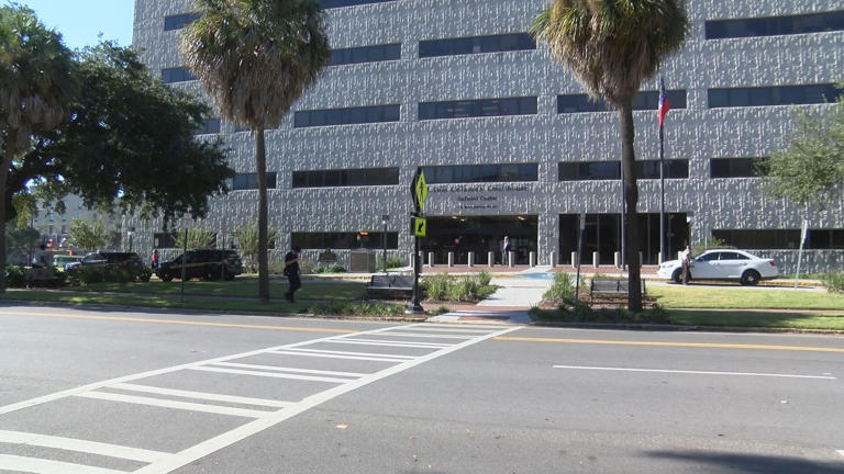 Georgia panel recommends removal of Chatham County probate judge over ...