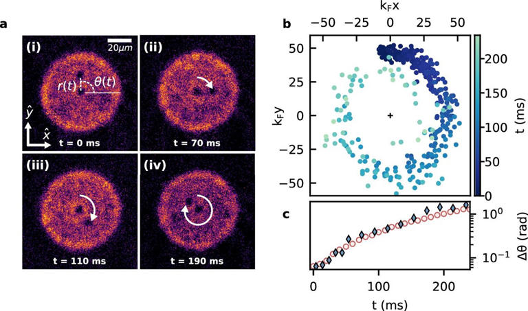 Journey to the center of a quantized vortex: How microscopic mutual ...