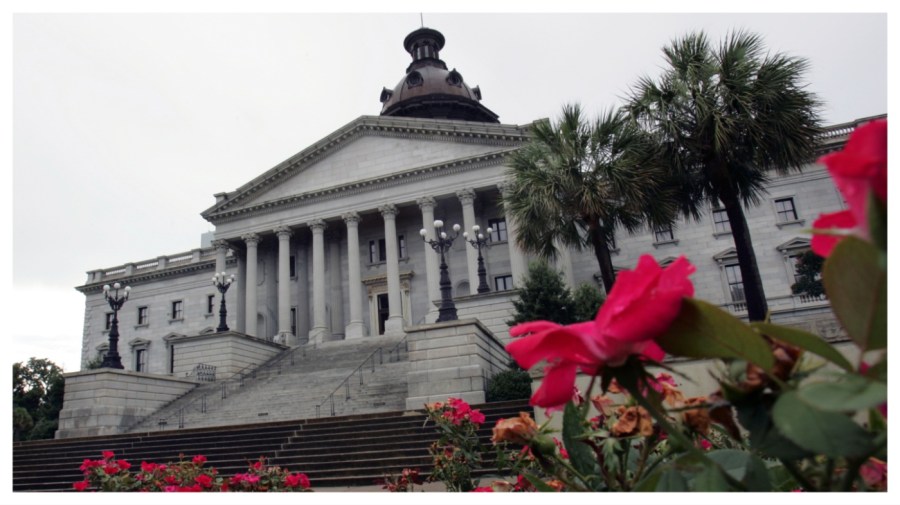 Republican wins South Carolina state House special election