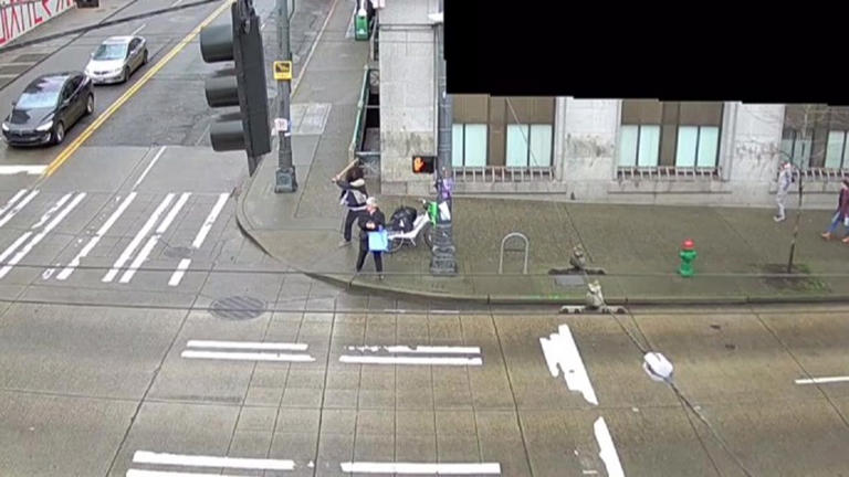 Seattle police immediately recognize suspect in elderly woman attack