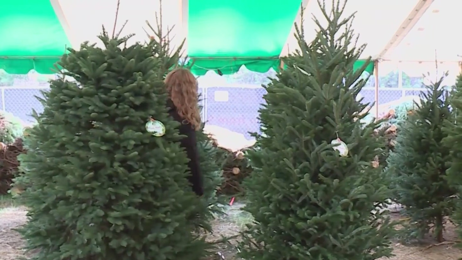 Christmas safety: Expert shares fire safety tips for the holidays