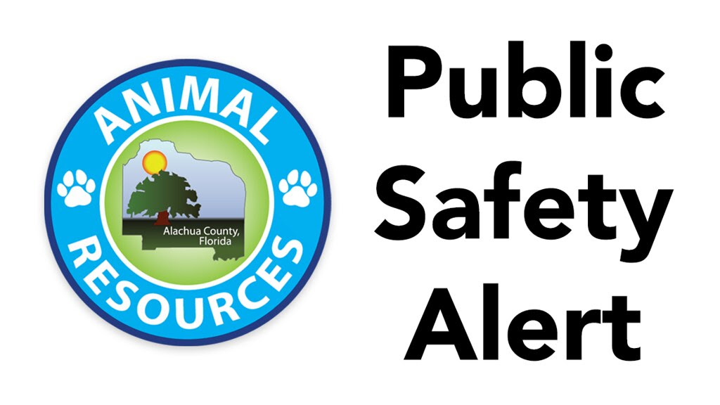 Public safety alert: Dog running at large in Bivens Cove area following ...